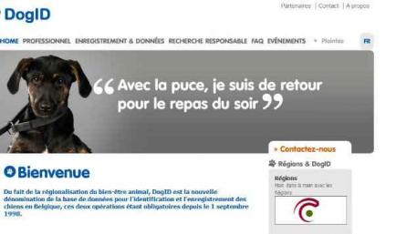 DogID, une nouvelle plateforme en ligne pour enregistrer les chiens ...